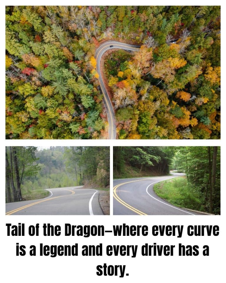 15 U.S. Scenic Drives to Take Before You Die | Drivetrain Resource