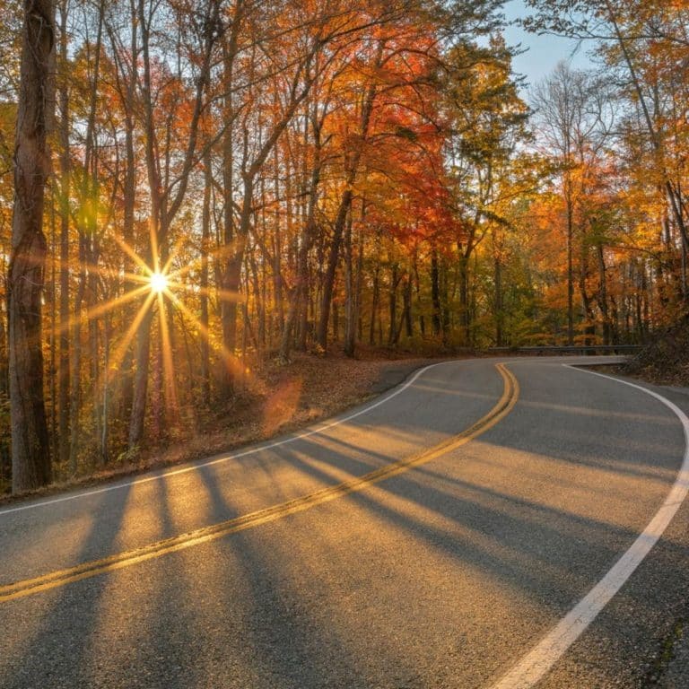 15 U.S. Scenic Drives to Take Before You Die | Drivetrain Resource