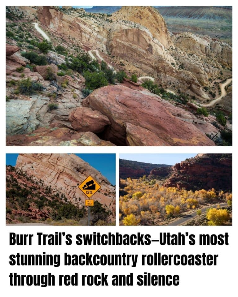 Hidden Road Trips: America’s Most Overlooked Scenic Drives | Drivetrain ...
